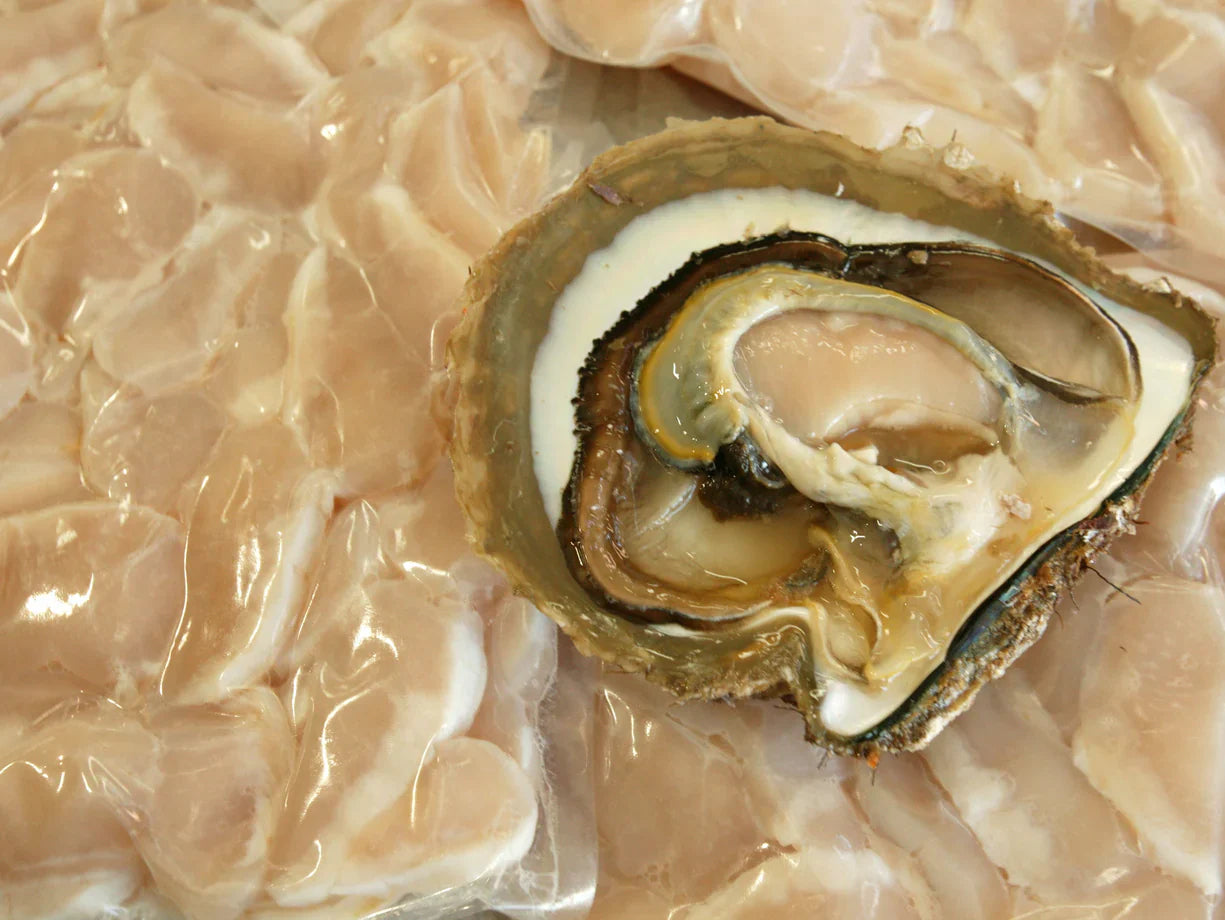 What Are South Sea Pearls? – Anaash