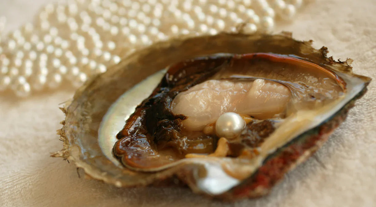 Extraction of Pearls – Anaash